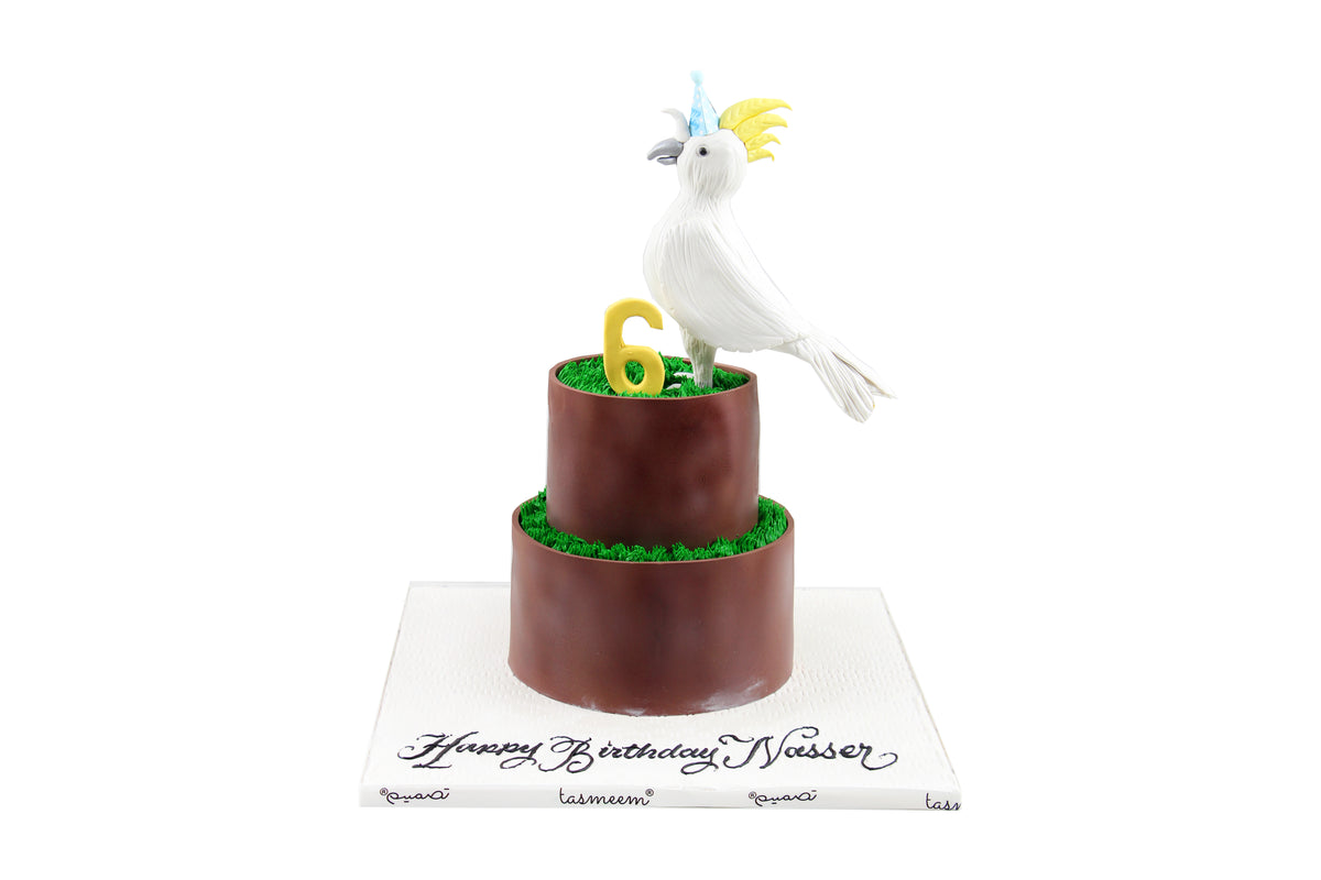 Two-Tiered Cockatiel Birthday Cake كيكة يوم ميلاد – Tasmeem